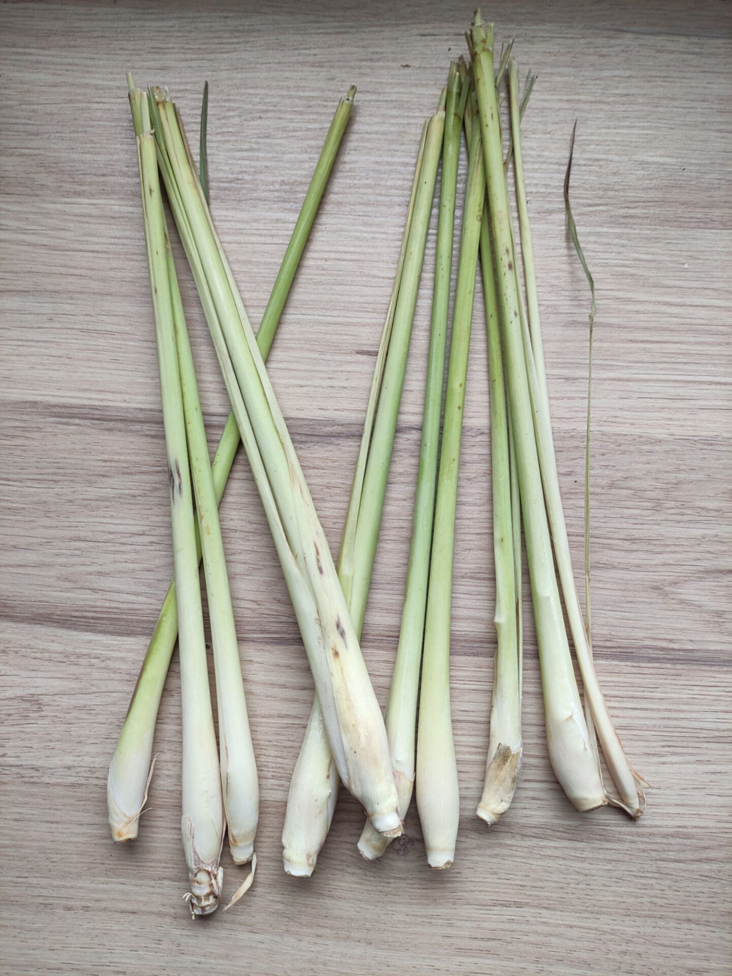 Comment Planter de la citronnelle