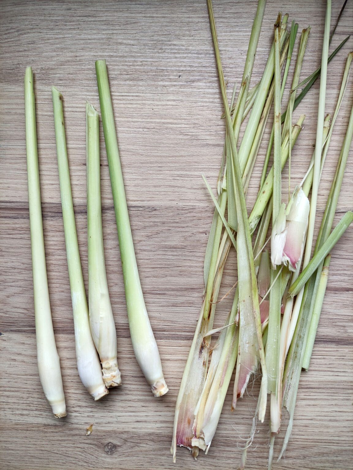 Comment Planter de la citronnelle